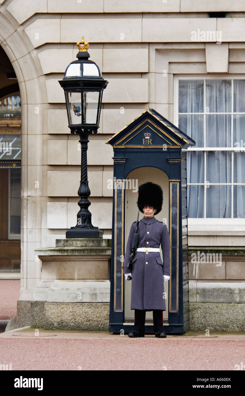 A Sentry of the Queens Guard in Winter Uniform Stationed in the Forecourt of Buckingham Palace ...