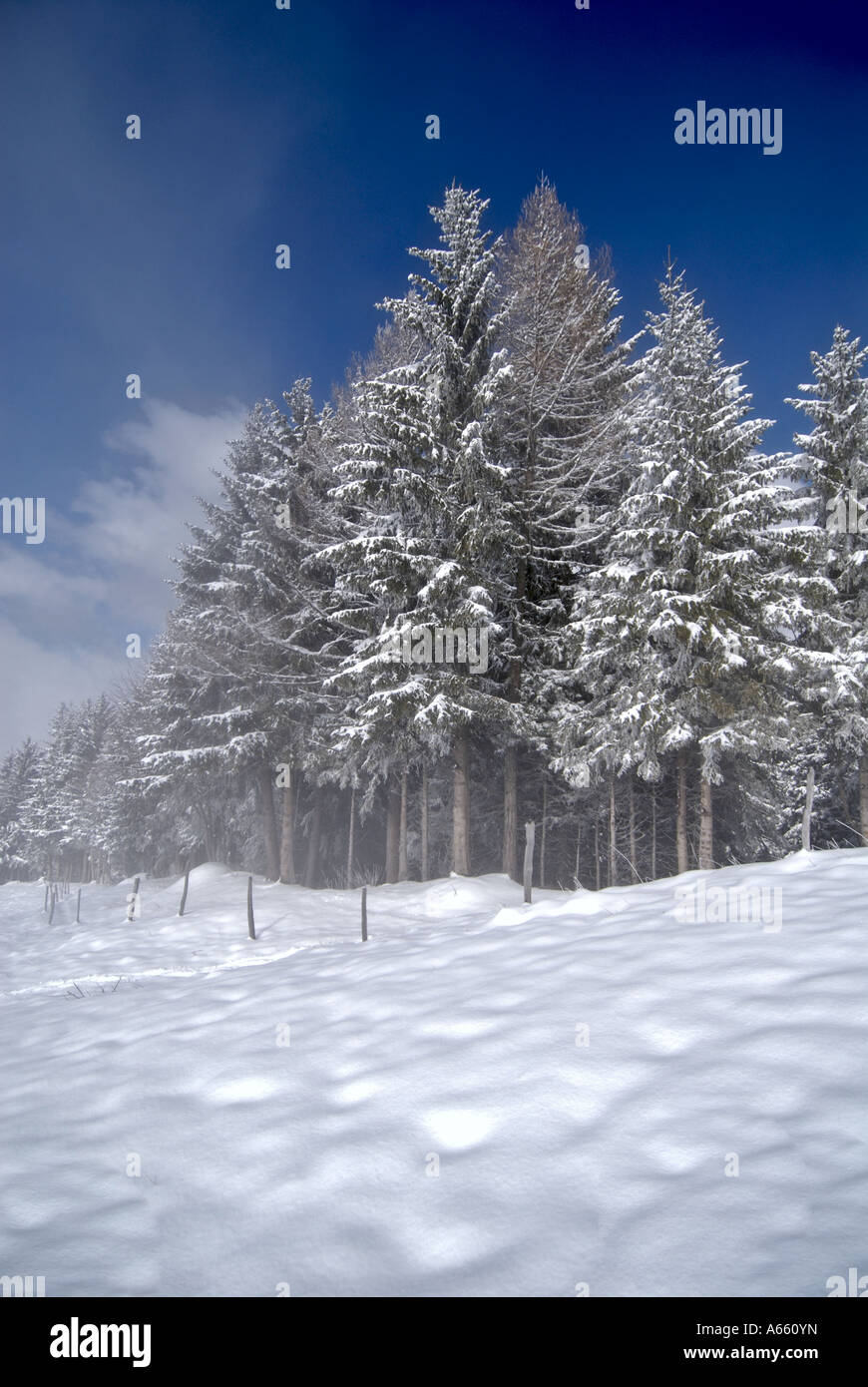 Snowy scene, Barboleuse, Villars, Geneva, Switzerland Stock Photo - Alamy