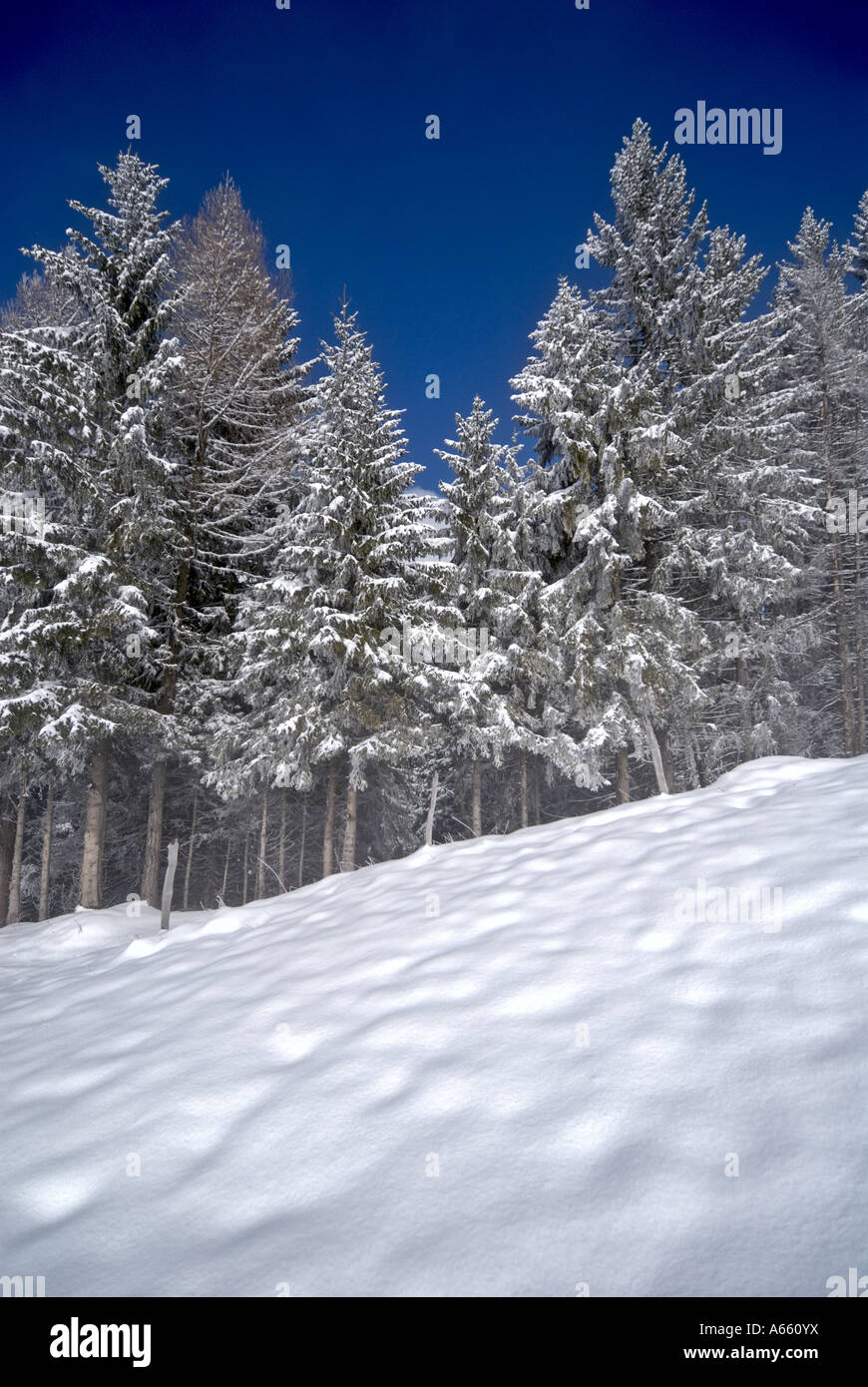 Barboleuse hi-res stock photography and images - Alamy