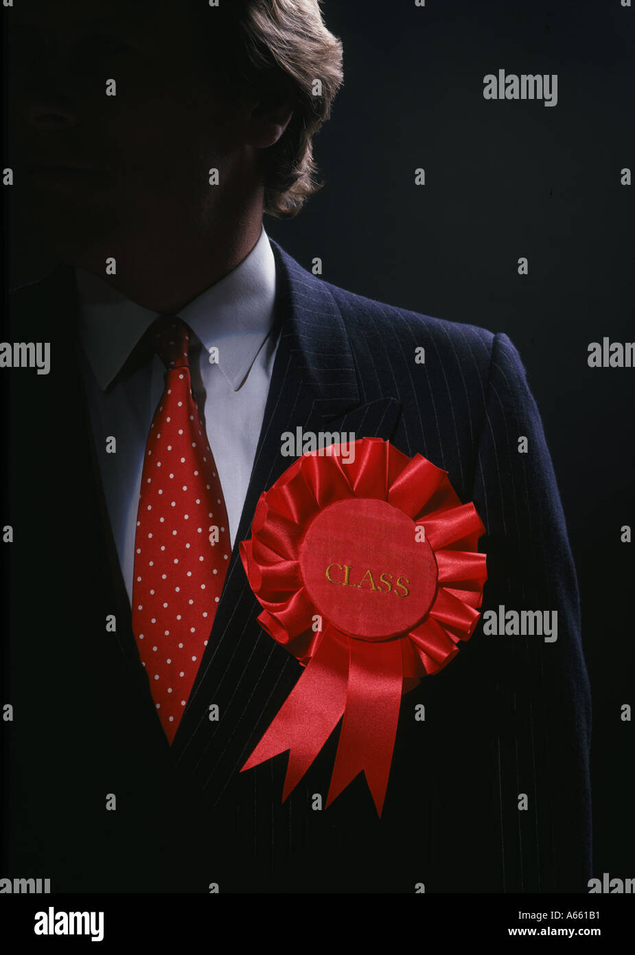 Rossette hi-res stock photography and images - Alamy