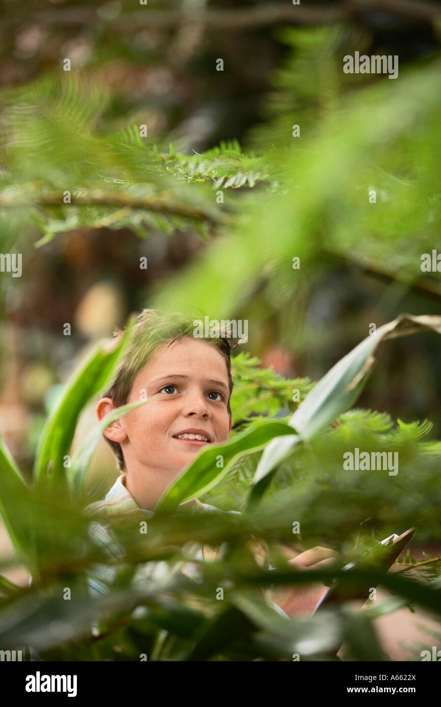 Boy in Forest Stock Photo - Alamy