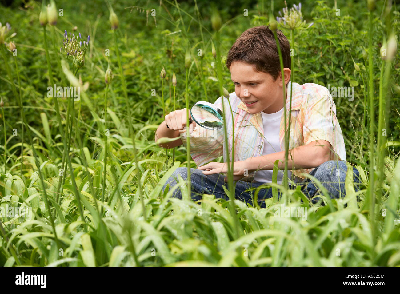 Boy Looking at Insects with Magnifying Glass Stock Photo - Alamy