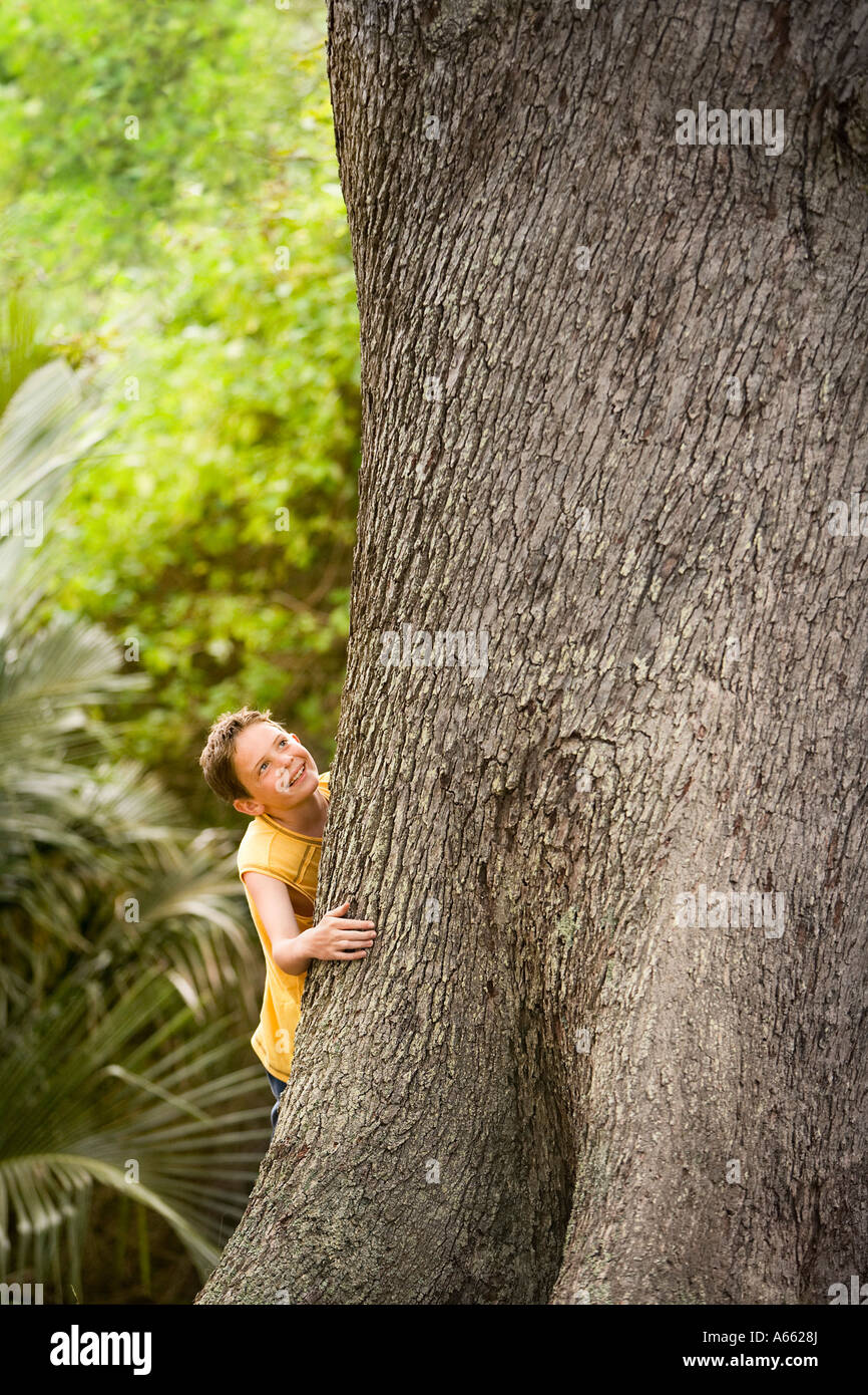 Boy Looking Up at Large Tree Stock Photo - Alamy