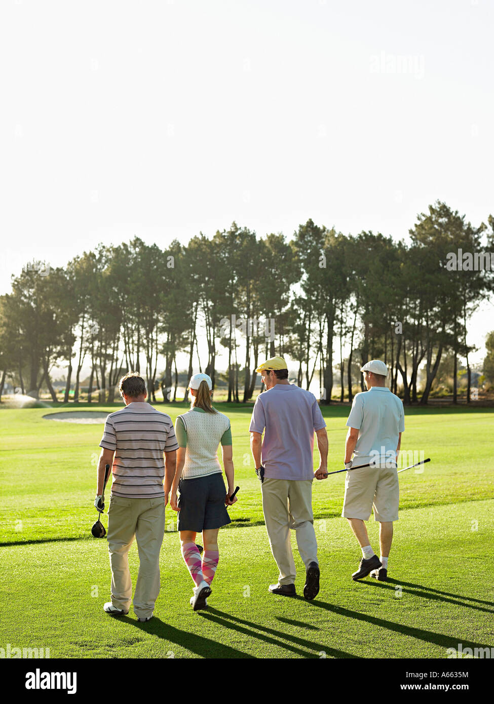 Four young golfers walking on course, back view Stock Photo - Alamy