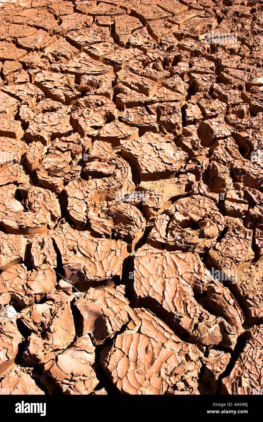Cracked dry earth Stock Photo - Alamy