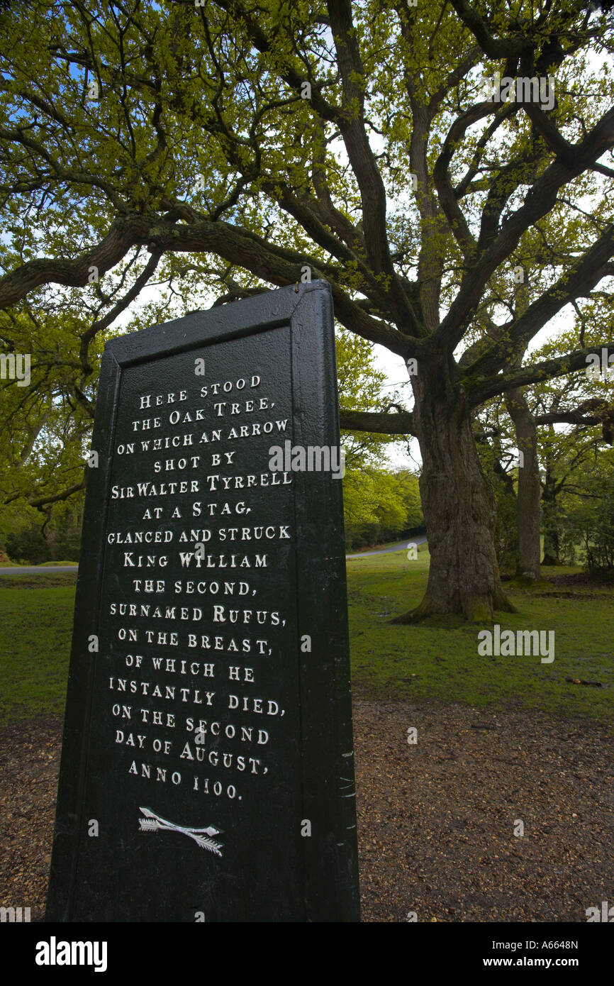 Rufus Stone in the New Forest National Park site of the death of King ...