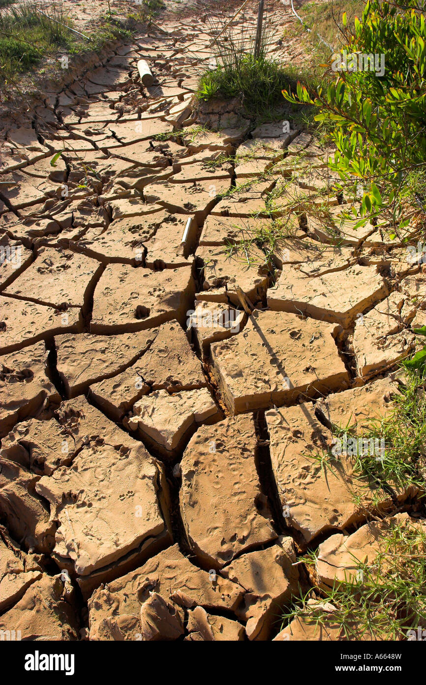 Geography riverbed season summer parched soil hi-res stock photography ...