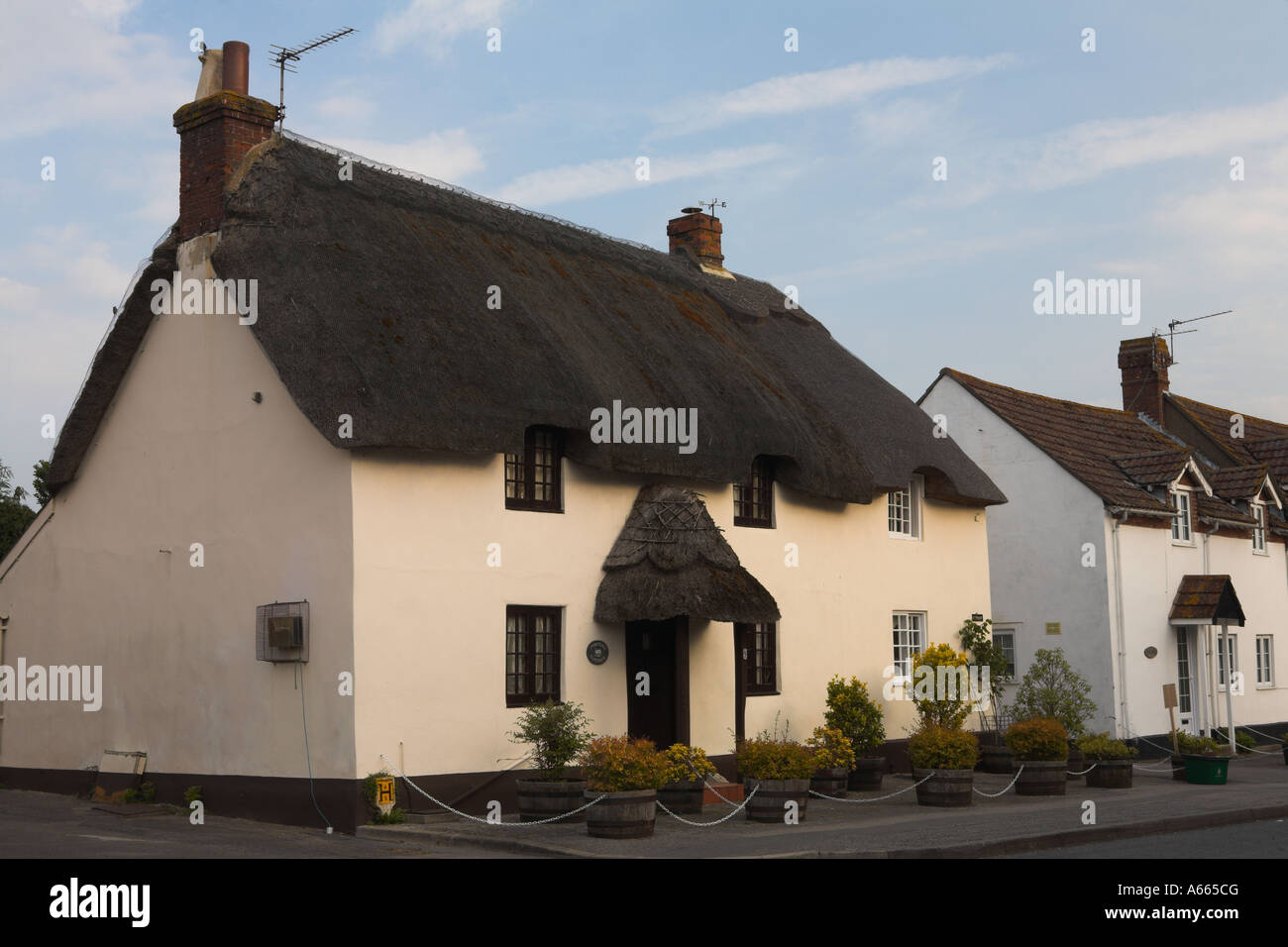 English wool hi-res stock photography and images - Alamy