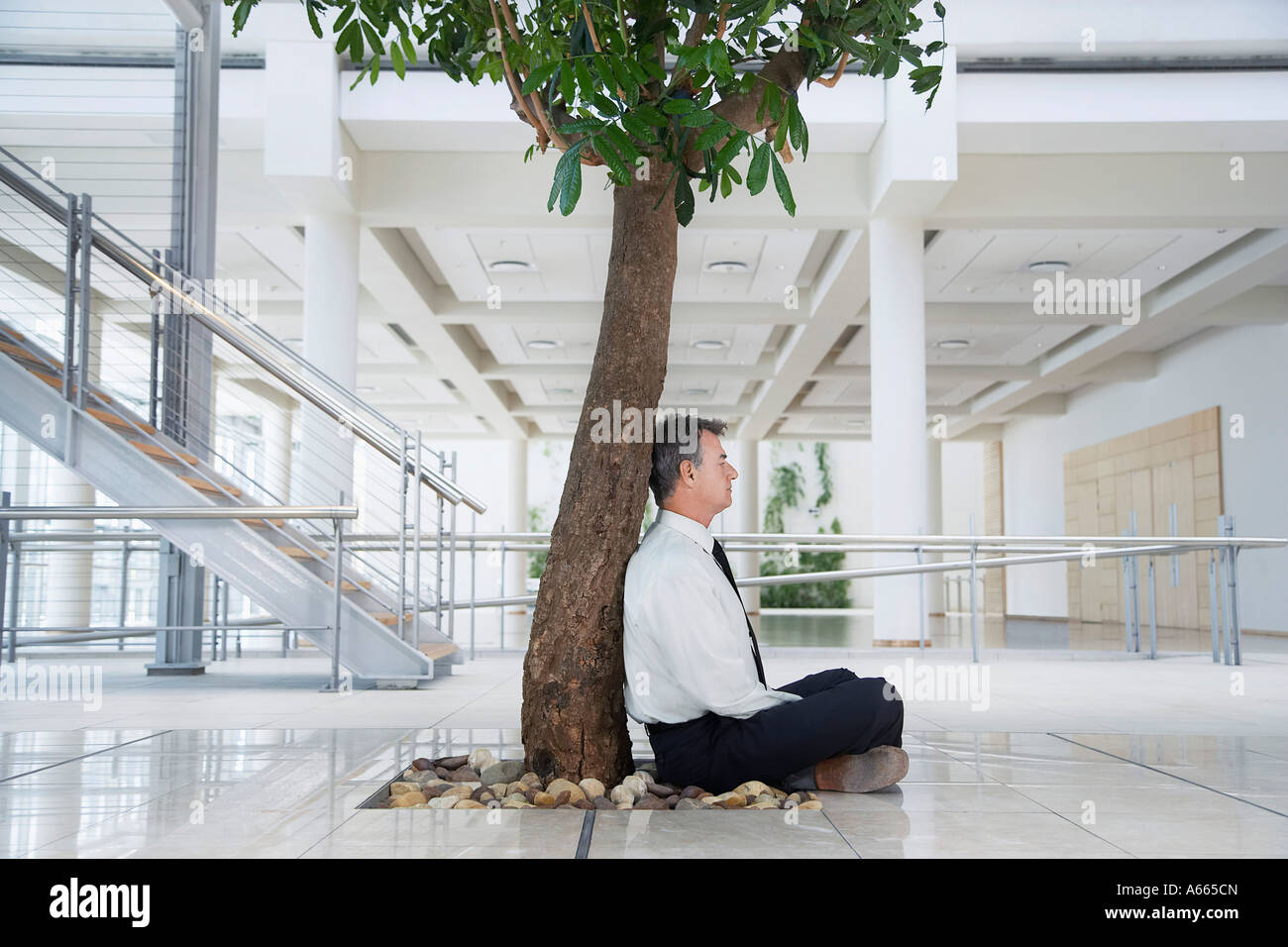 Man resting under tree hi-res stock photography and images - Alamy
