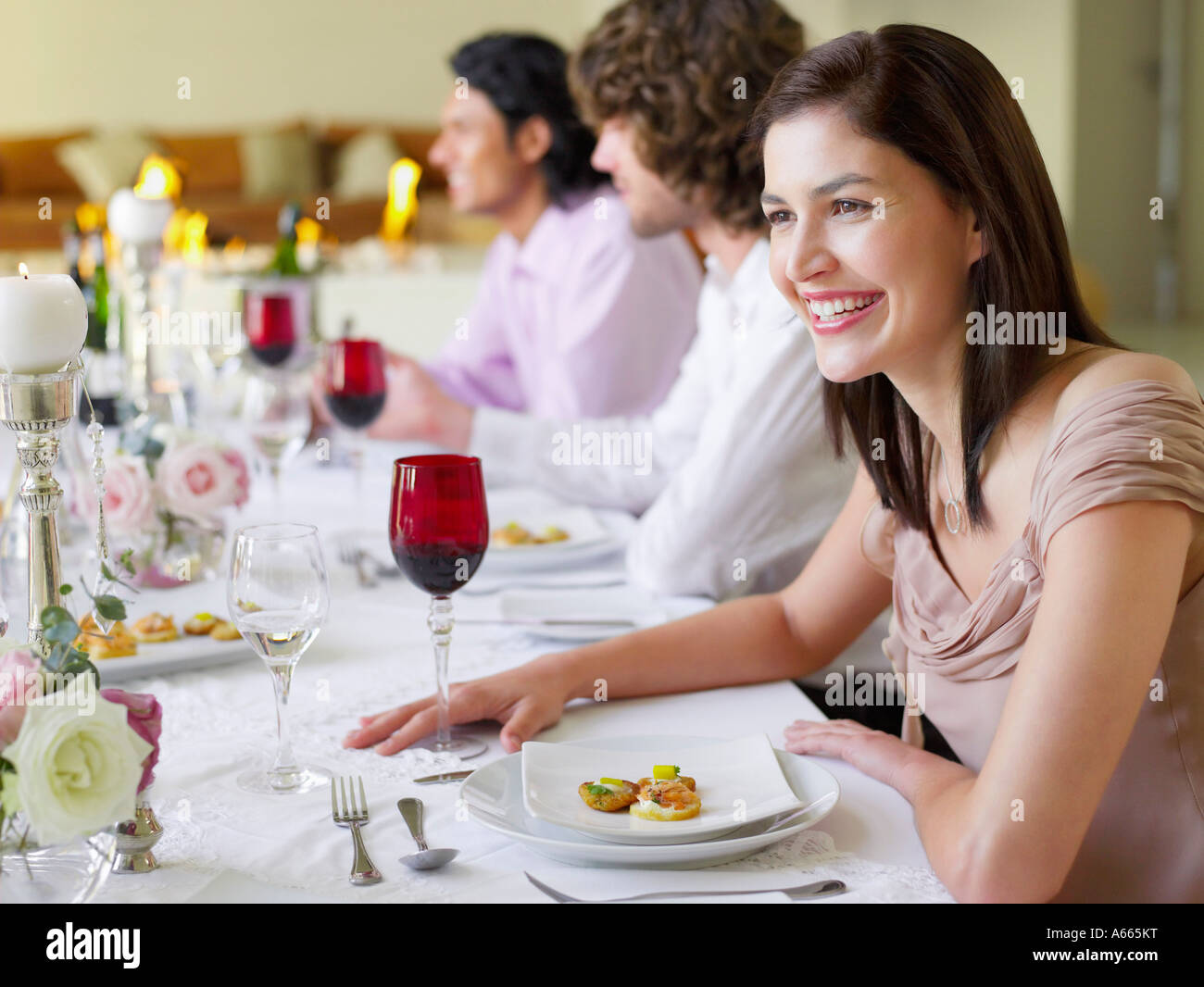 The dinner party hi-res stock photography and images - Alamy