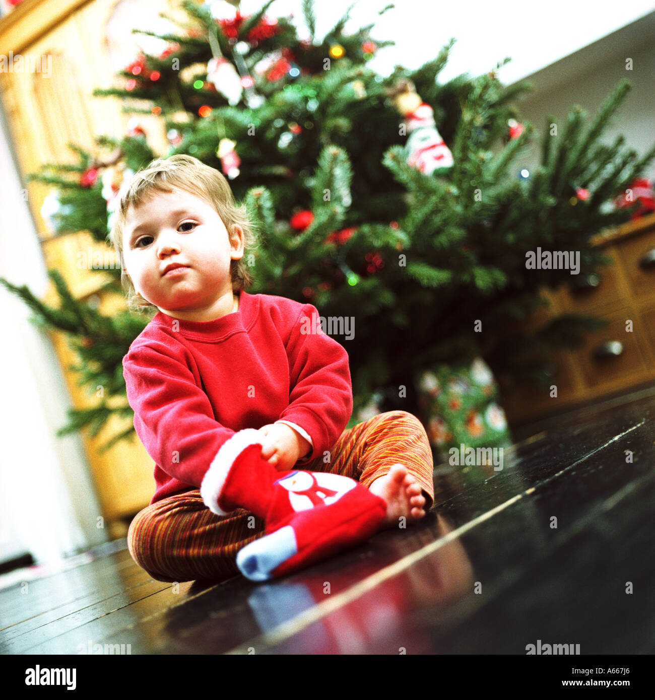 A small child reaching inside a Christmas stocking Stock Photo - Alamy
