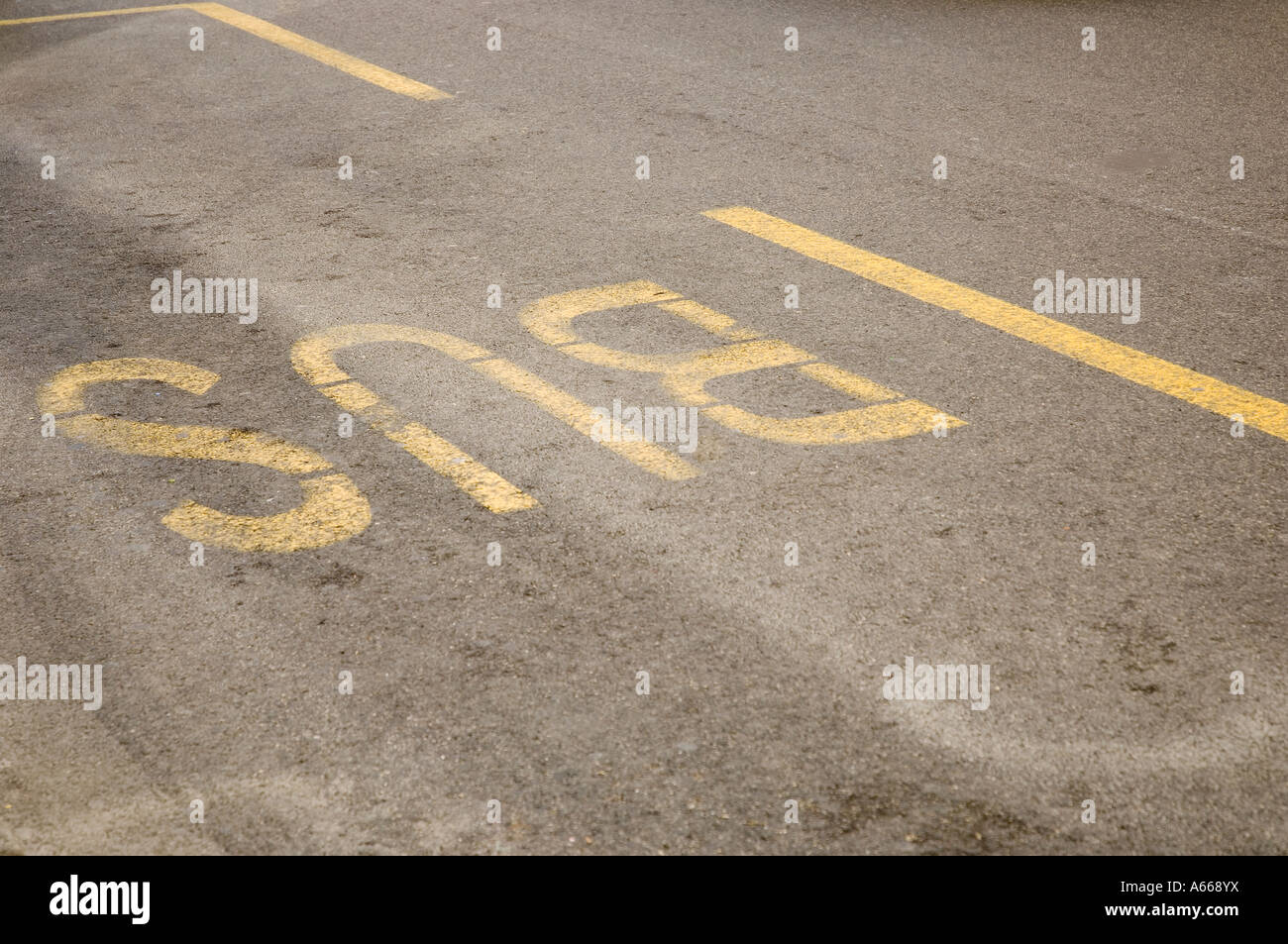 Bus Stop sign on road Stock Photo - Alamy