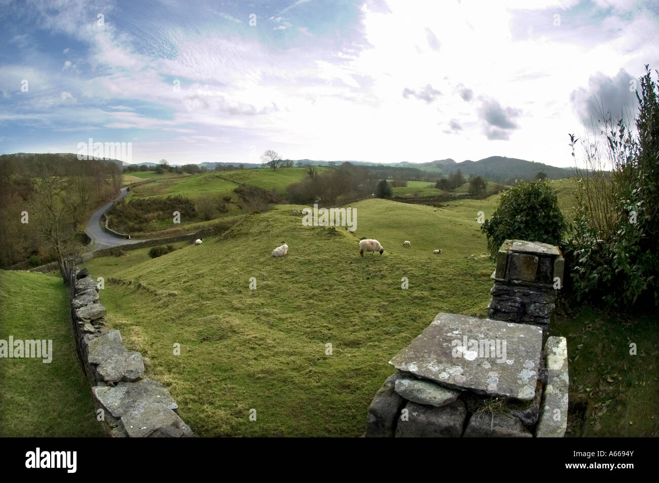 Fields in Cumbria Stock Photo - Alamy