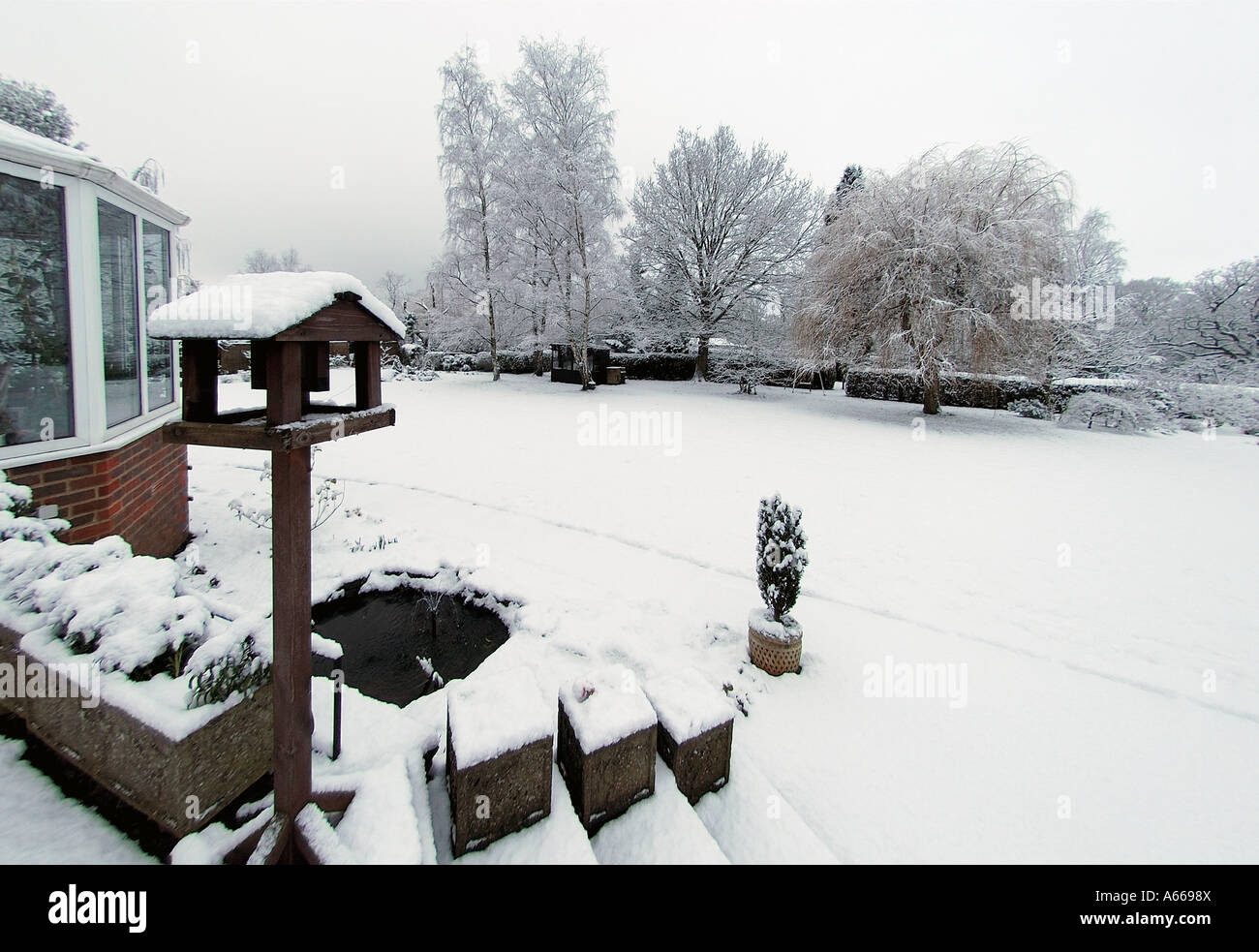 Winter Garden in Surrey Stock Photo - Alamy