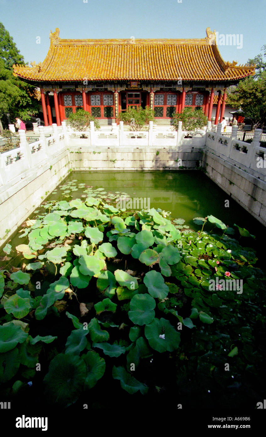 Floating plants in a sacred pool in front of anciente temple in Beijing ...