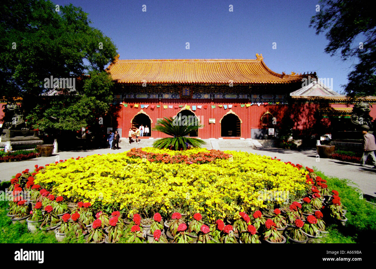 Colourful flower arrangement in front of an ancient temple in Beijing ...