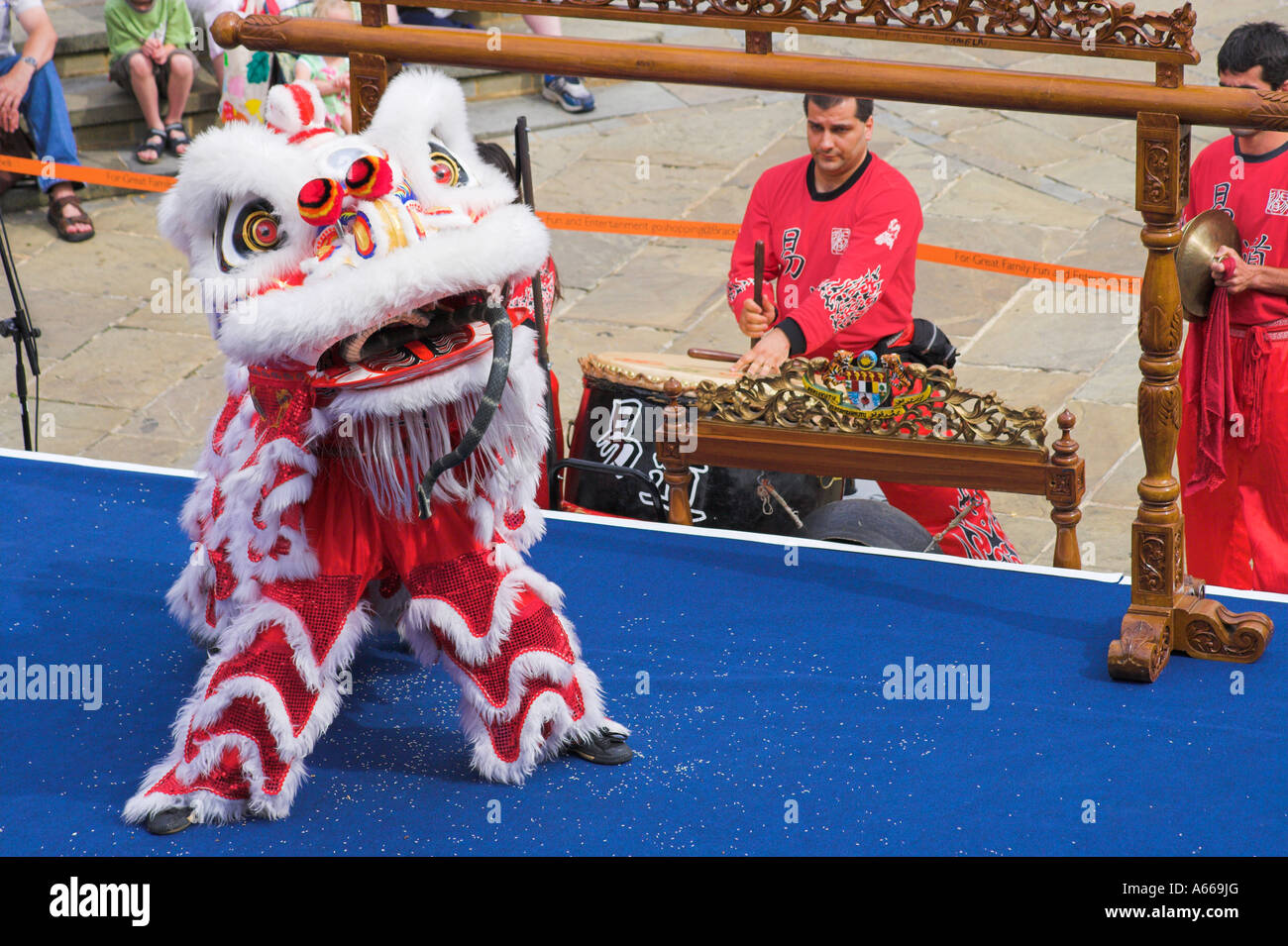 Lion eats snake hi-res stock photography and images - Alamy