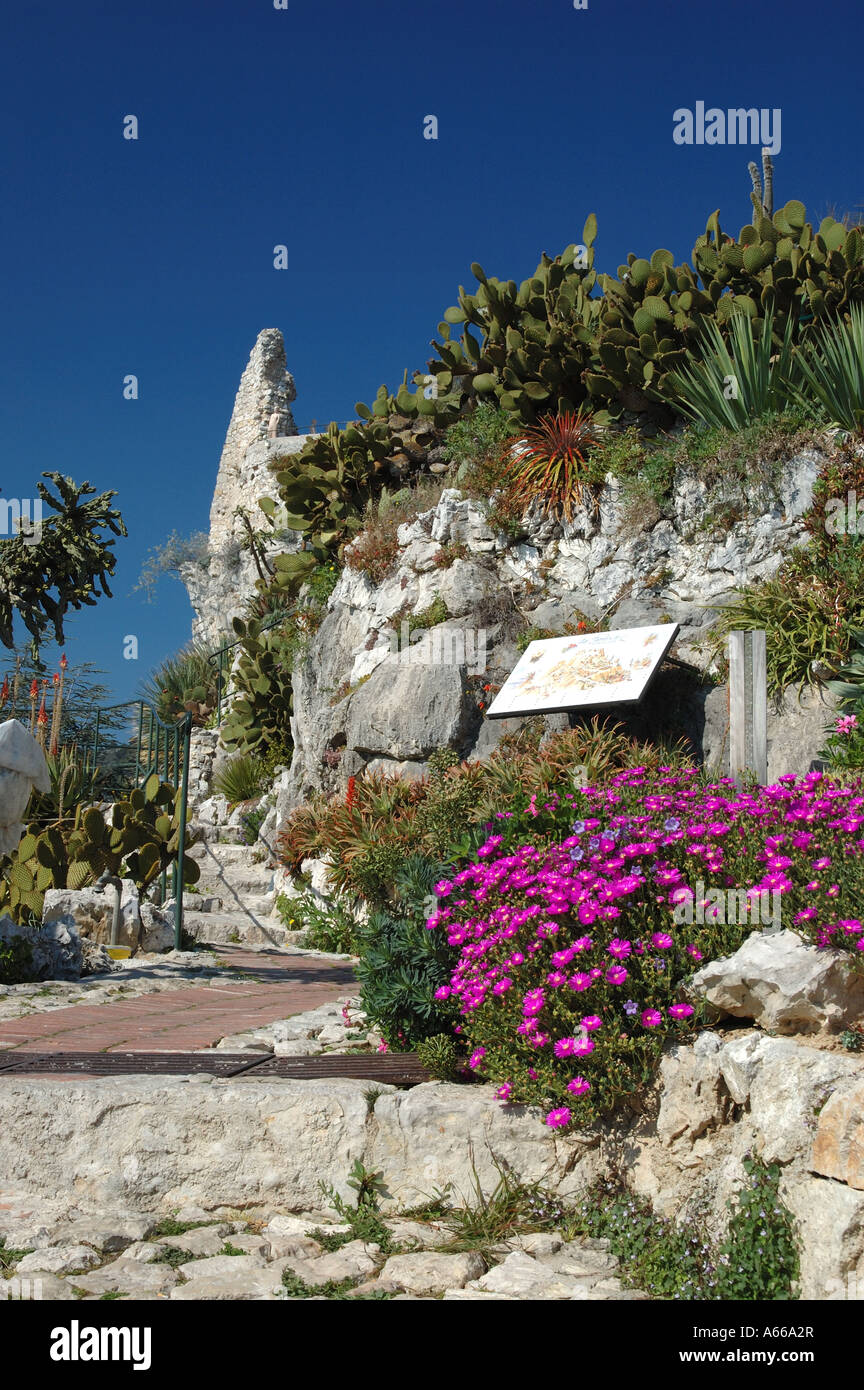 Exotic garden in Eze, south of France Stock Photo - Alamy