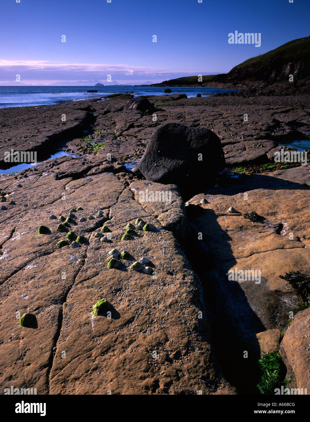 Wave cut platform scotland hi-res stock photography and images - Alamy