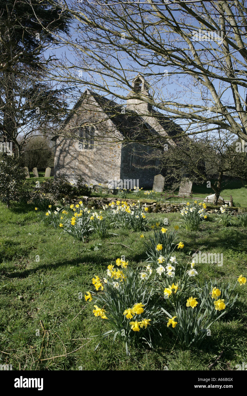 The cotswold church with its spring flowers at Ampney St Mary near ...