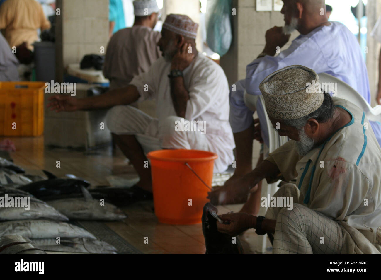 Men selling fresh fish at the fish market in Muscat, Oman Stock Photo ...