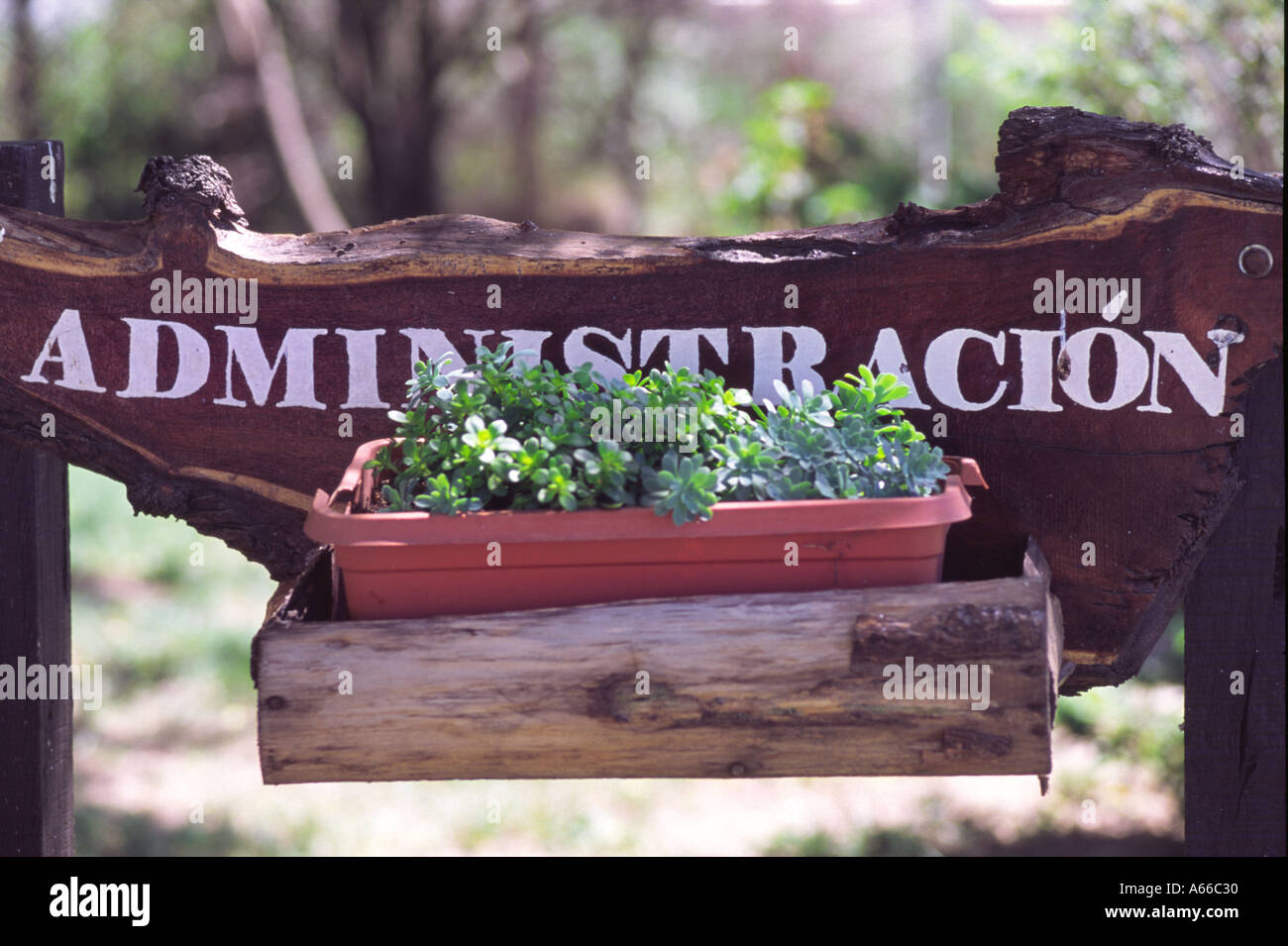 Rustic sign that says Administration in Spanish Stock Photo - Alamy