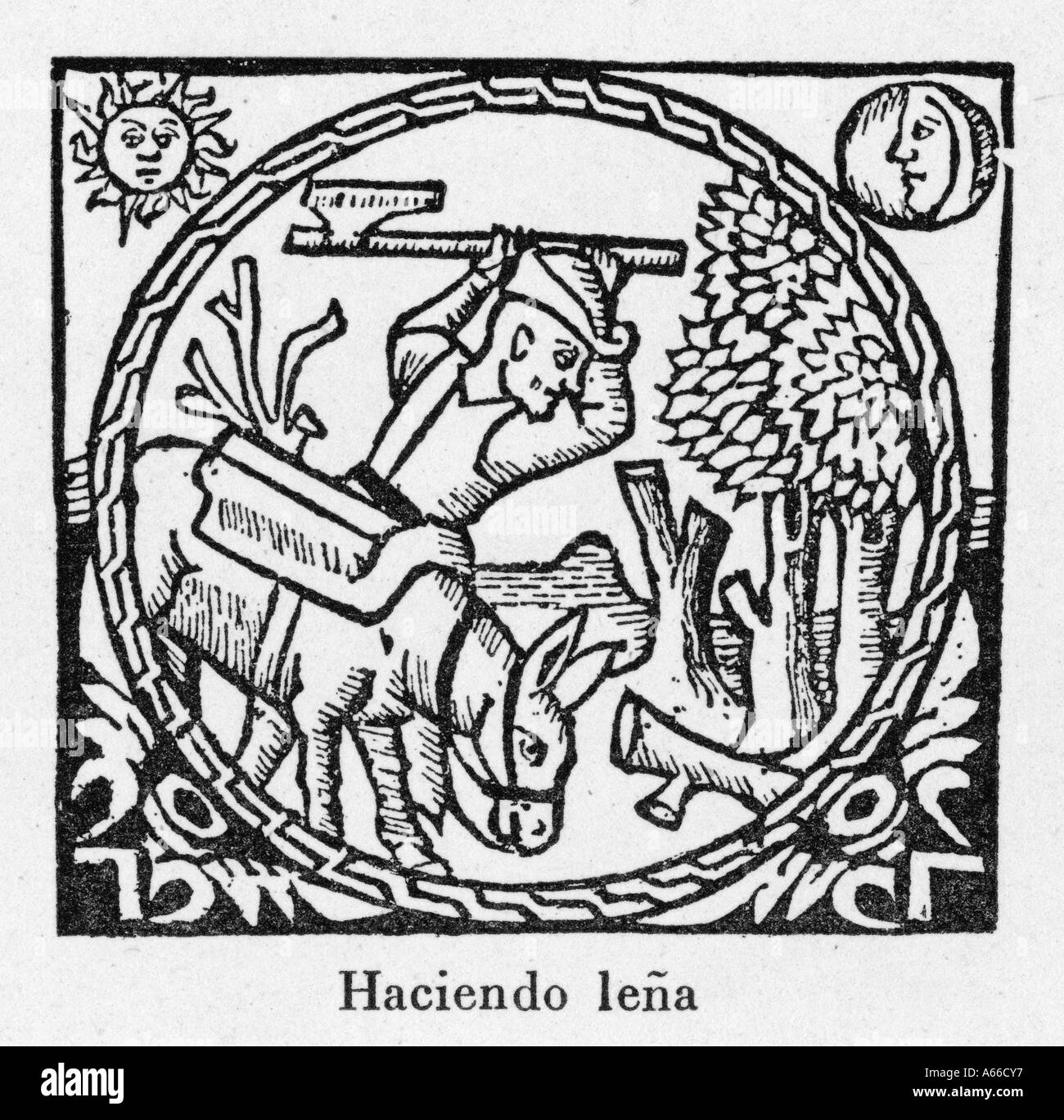 Felling of trees Black and White Stock Photos & Images - Alamy