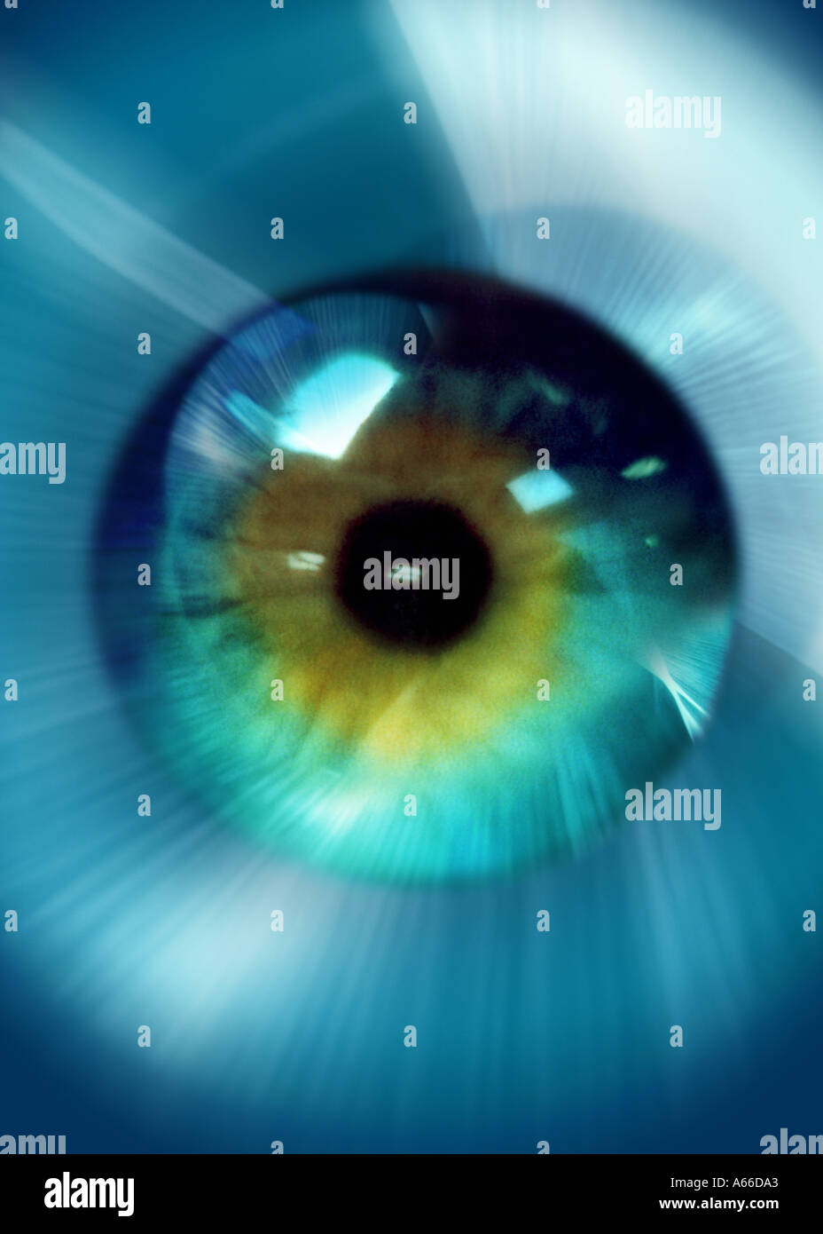 Eye pupil hi-res stock photography and images - Alamy