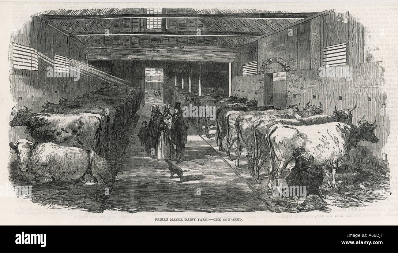 Dairy manor hi-res stock photography and images - Alamy