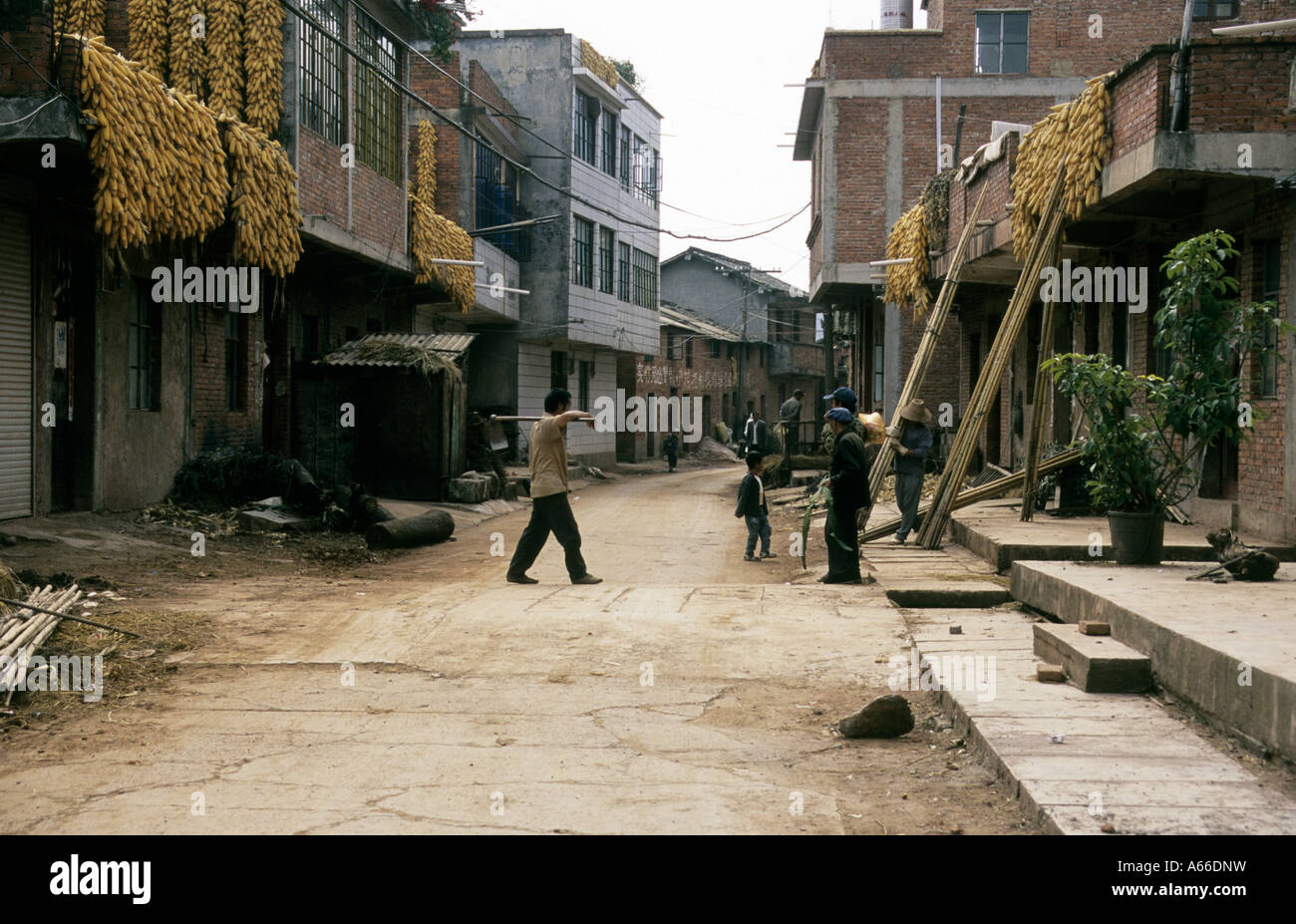 Village scene in Yunnan, China. Drying corn hanging from the roof of ...