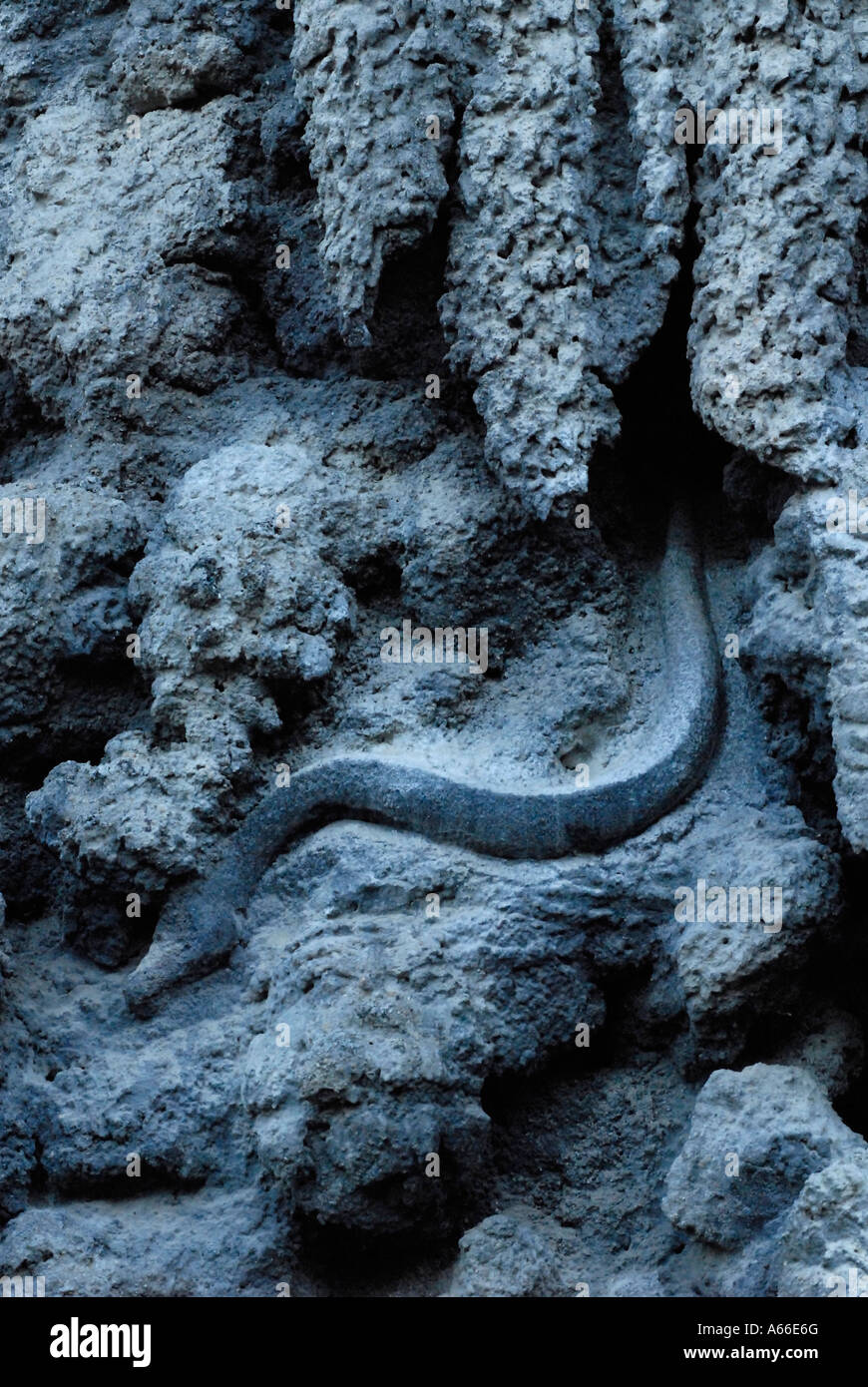 Lava Stone Grotto Serpent Wallenstein Palace Gardens Czech Republic ...