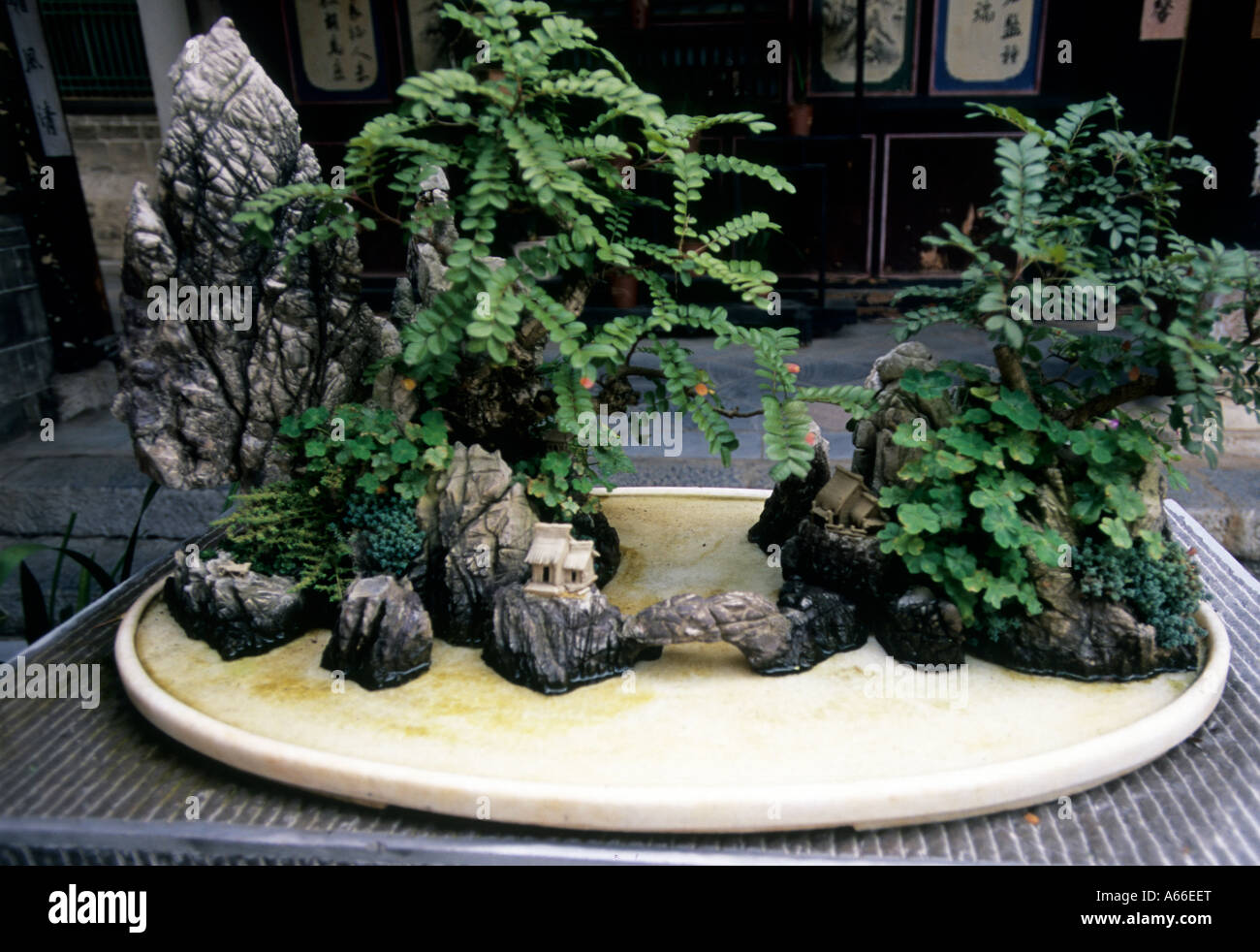 Dwarf tree trunk aesthetic miniaturization realistic imitation mansion ...