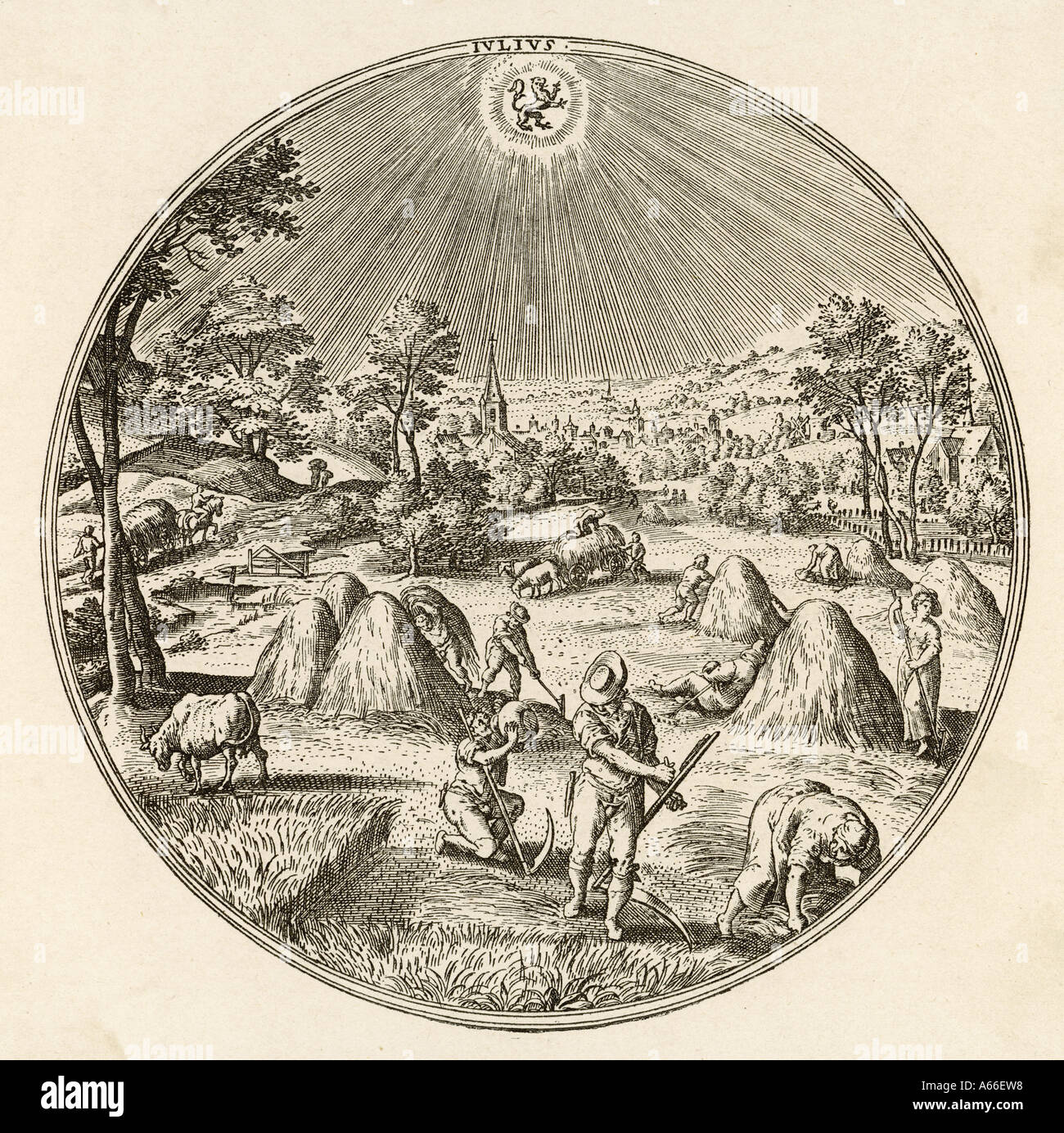 July hay hi-res stock photography and images - Alamy