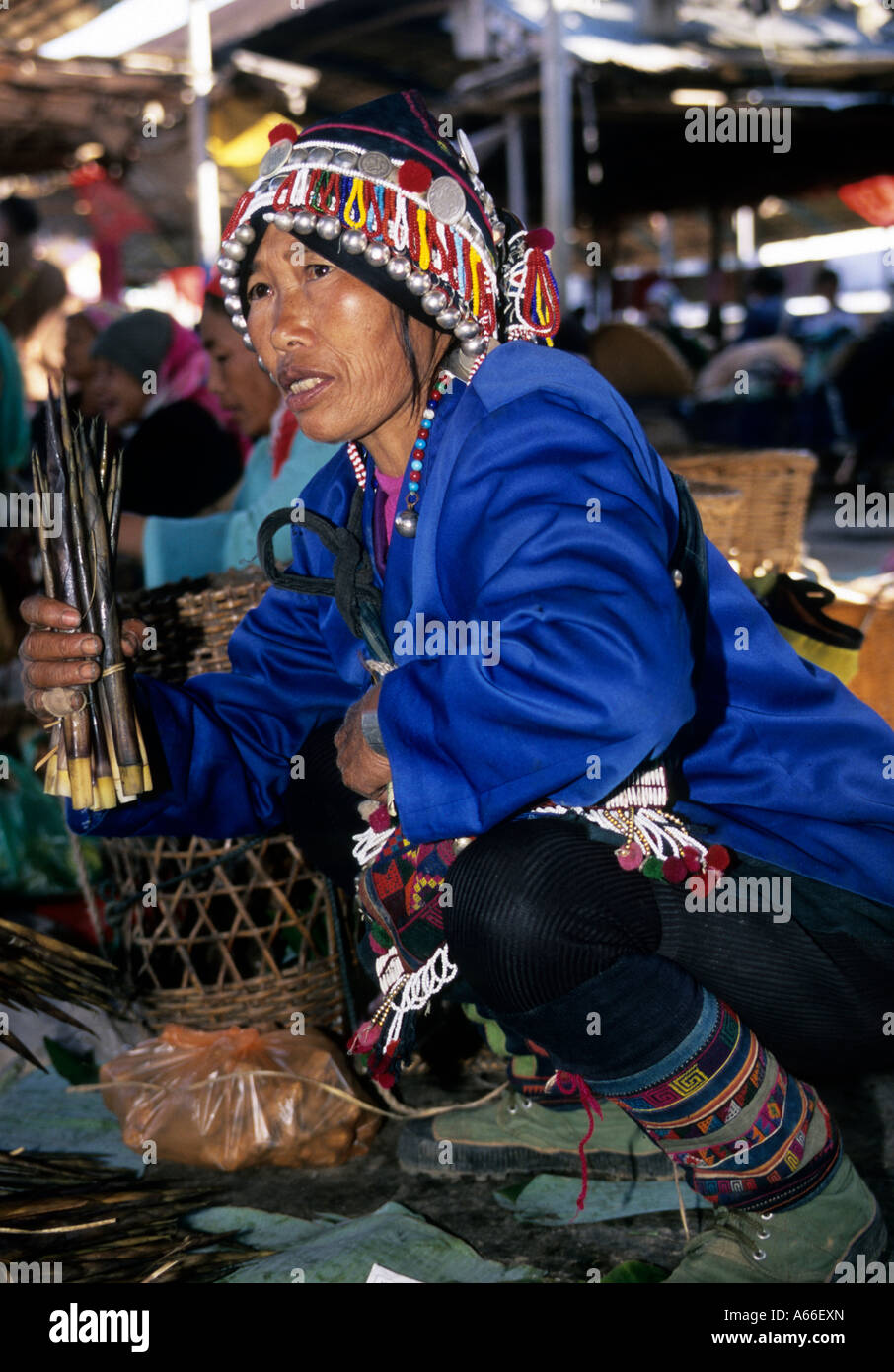 Akha woman selling bamboo shoots on the market of Menghai ...