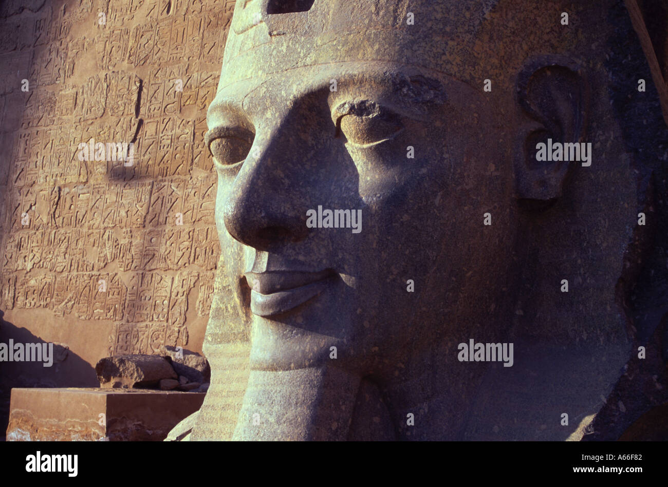 Head of ramesses ii statue at luxor temple hi-res stock photography and ...
