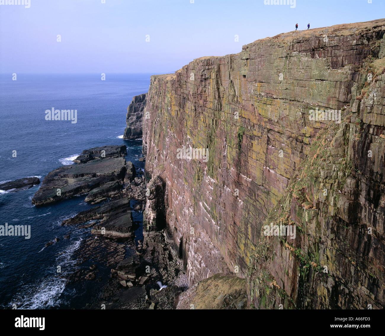 Wild puffin handa island hi-res stock photography and images - Alamy