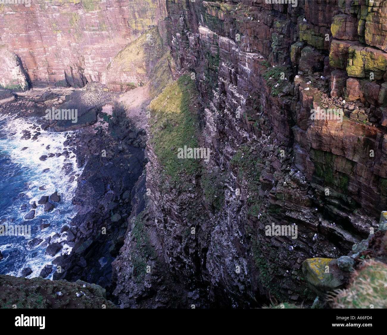 Cliffs of Handa island a Scottish Wildlife Trust sanctuary Sutherland ...