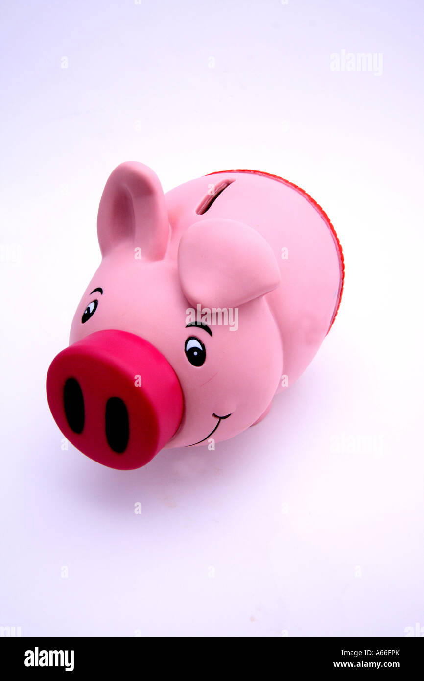 FRONT VIEW OF PIG MONEY BOX WHITE BACKGROUND VERTICAL BDB10413 Stock ...
