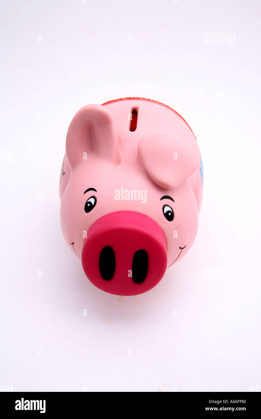 FRONT VIEW OF PIG MONEY BOX WHITE BACKGROUND VERTICAL BDB10414 Stock ...