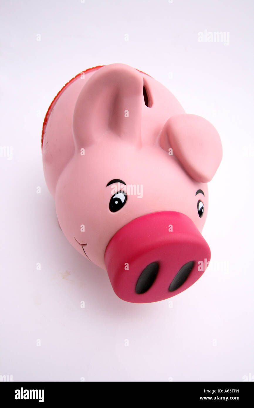 FRONT VIEW OF PIG MONEY BOX WHITE BACKGROUND VERTICAL BDB10415 Stock ...