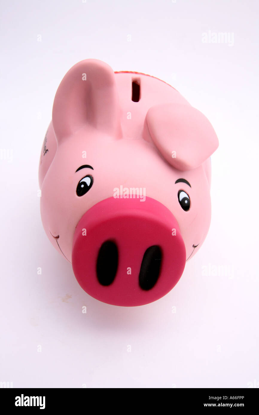 FRONT VIEW OF PIG MONEY BOX WHITE BACKGROUND VERTICAL BDB10416 Stock ...
