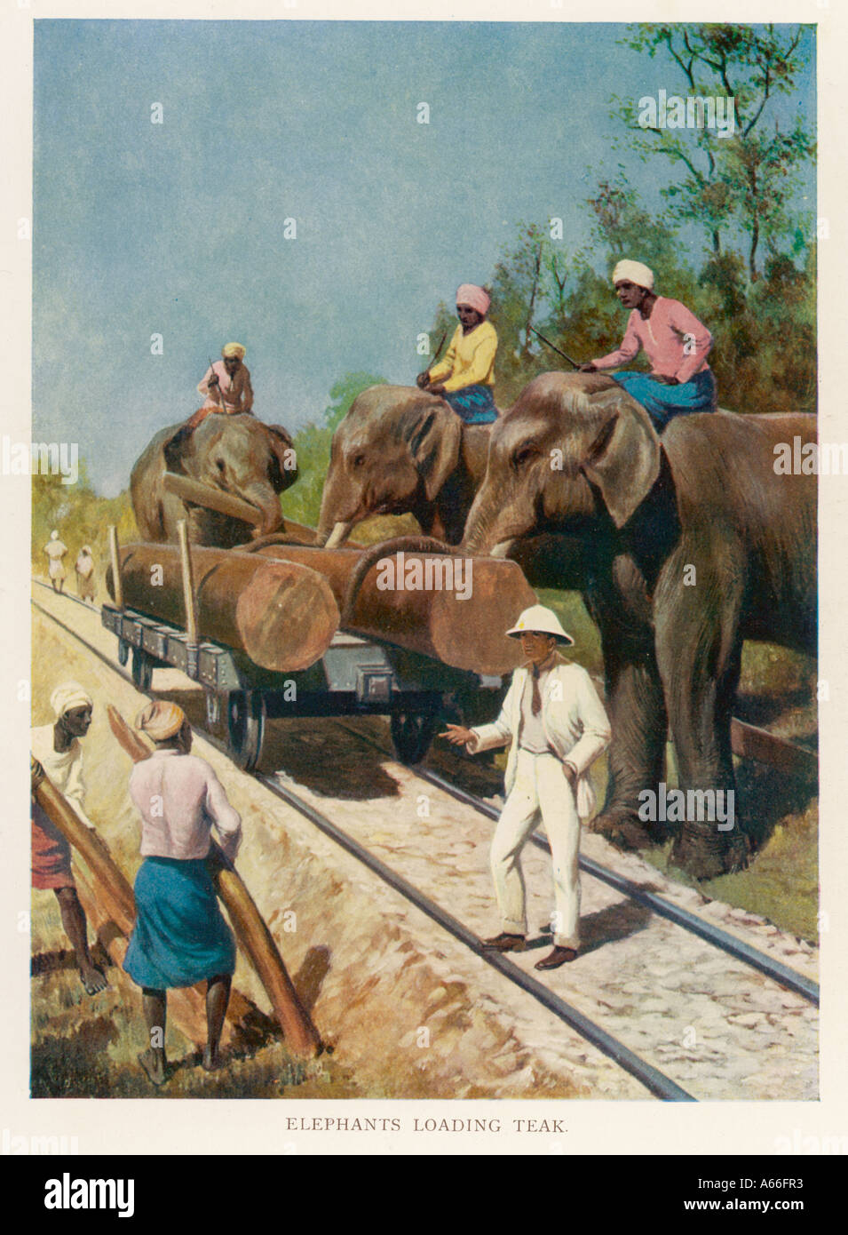 Elephants Loading Teak Stock Photo - Alamy