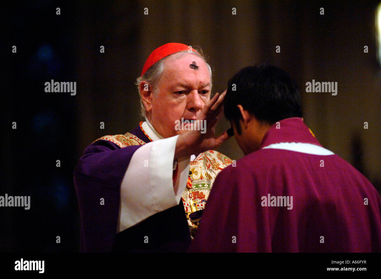Cardinal Edward Egan at mass at St Patrick s Cathedral on Ash Wednesday ...