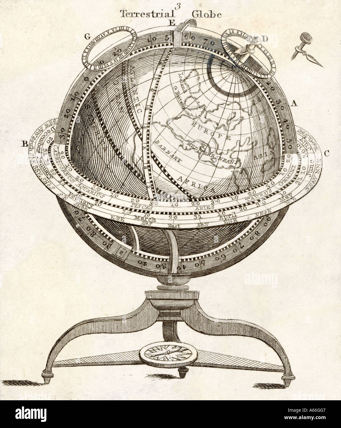 Terrestrial hi-res stock photography and images - Alamy