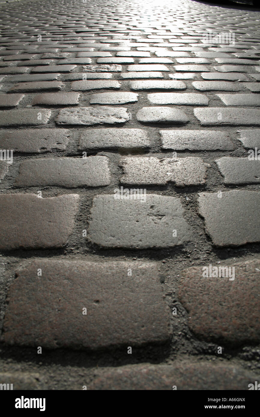 Cobbled avenue hi-res stock photography and images - Alamy