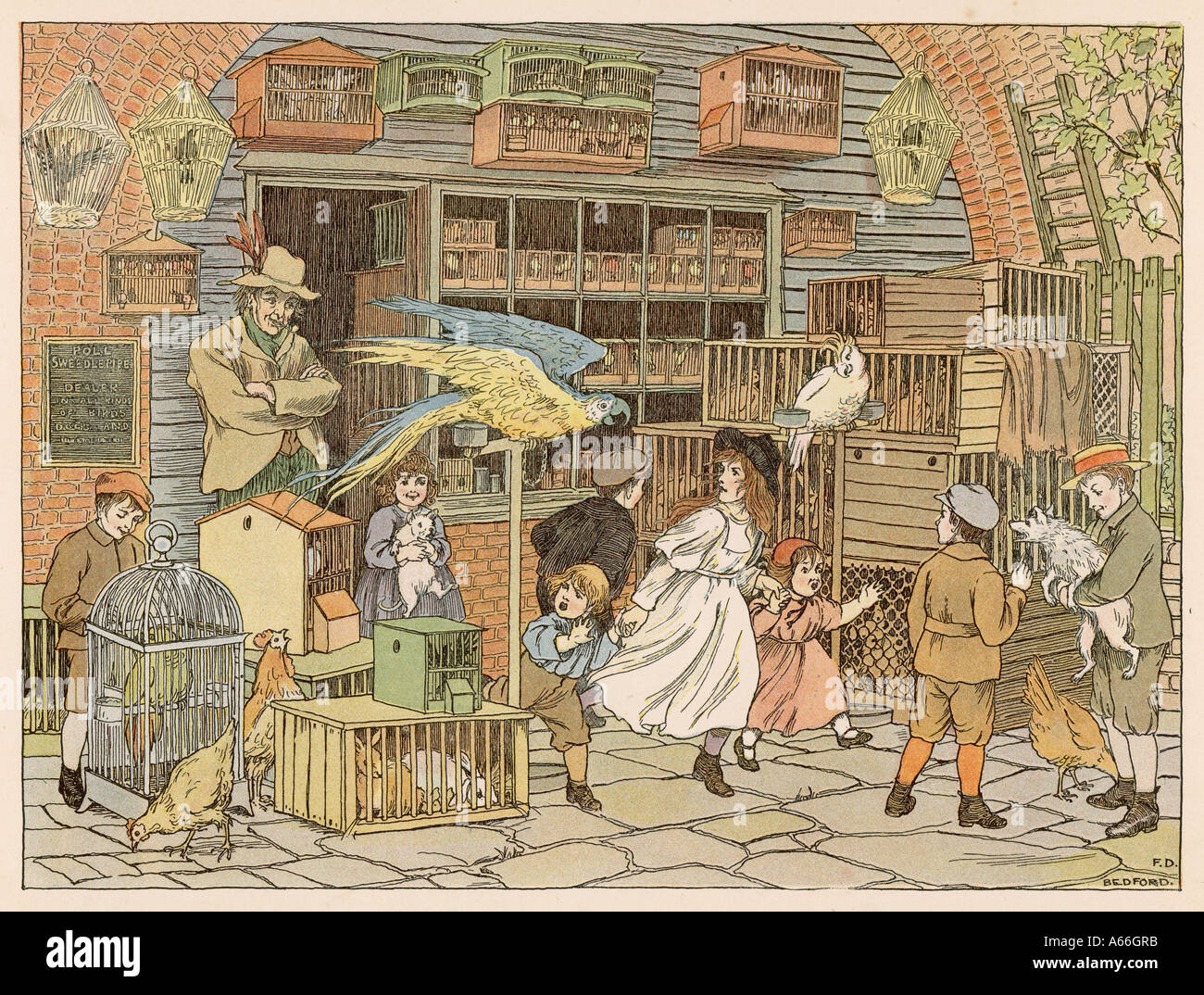 Victorian Pet Shop 1899 Stock Photo - Alamy