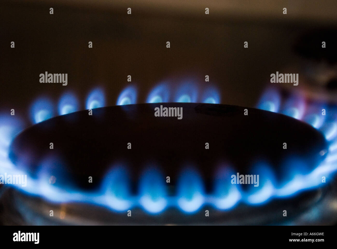 Cooker gas ring Stock Photo - Alamy