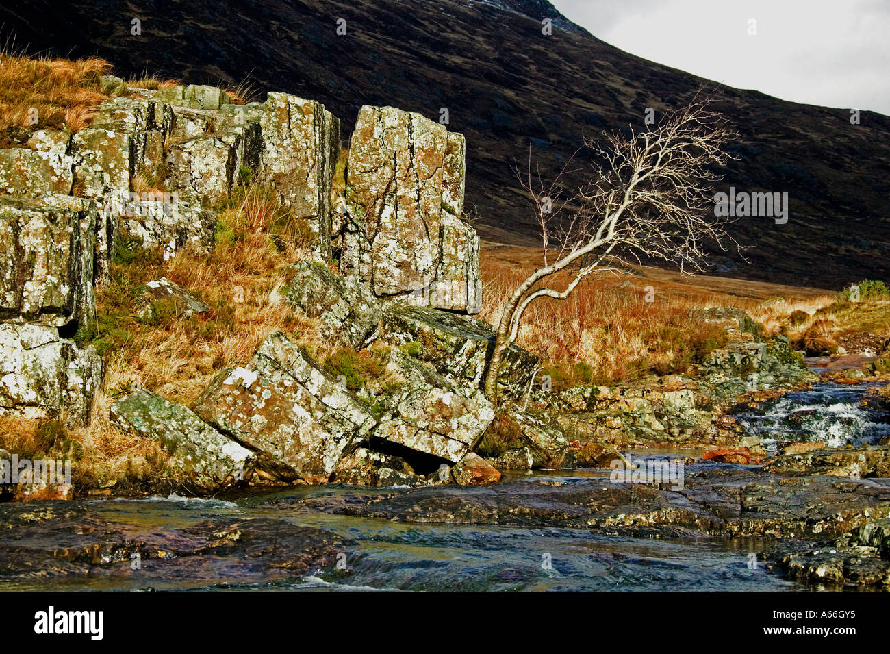 Rock & tree Glencoe Stock Photo - Alamy