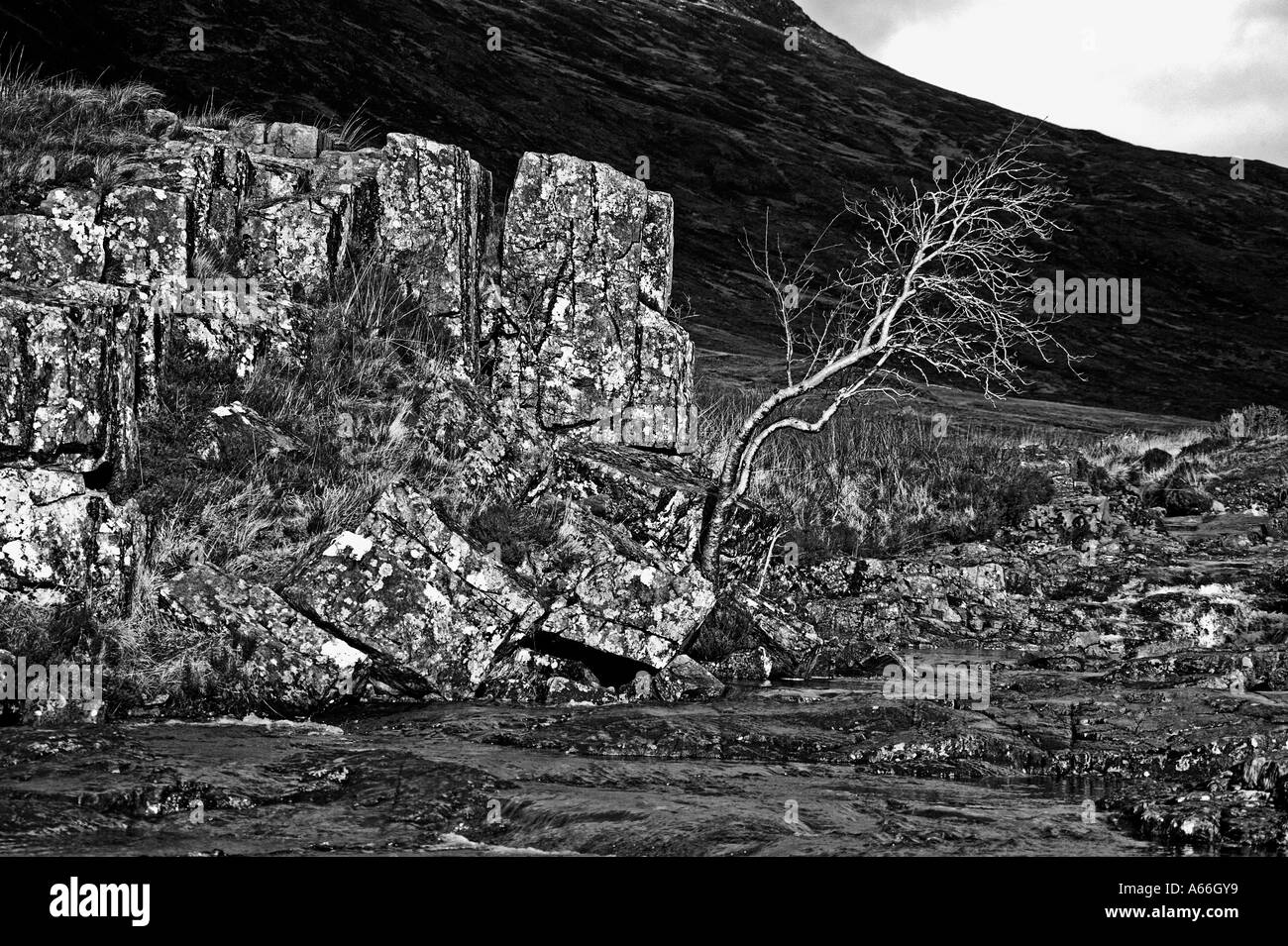 Rock & tree Glencoe Stock Photo - Alamy