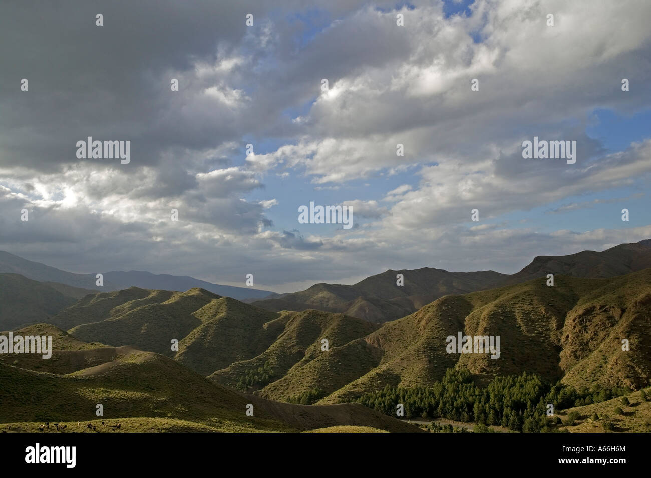 Atlas mountains in morocco north Africa Stock Photo - Alamy